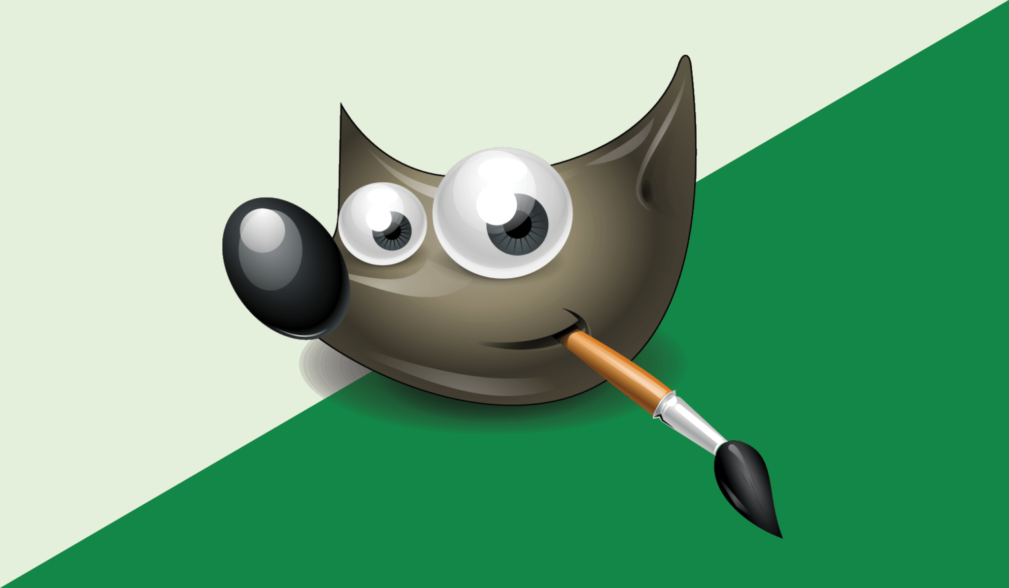 Unisub - Choix de logiciels de conception pour la sublimation